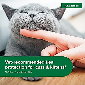 Advantage II Kitten Vet-Recommended Flea Treatment & Prevention | Cats 2-5 lbs. | 2-Month Supply