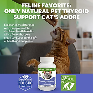 ONLY NATURAL PET Thyroid Support Supplement for Cats - Multivitamin with L-Carnitine & Lemon Balm - Vet Formulated - Helps with Endocrine & Immune Health - Turkey Flavored Chewable - 90 Tablets