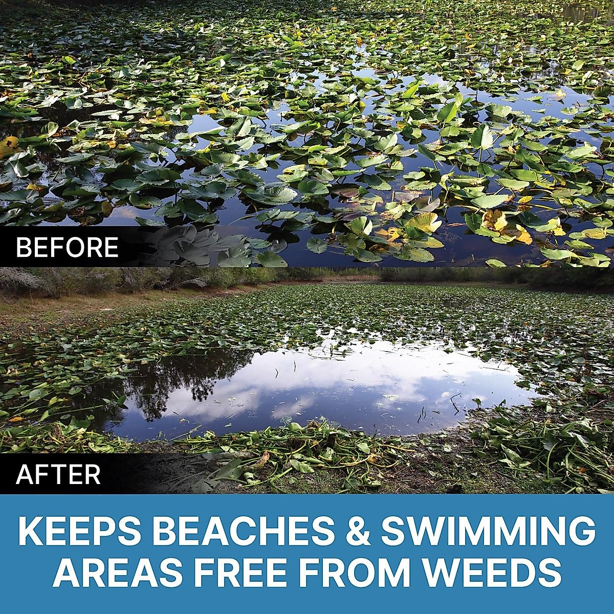 Jenlis Weed Razer Pro, Lake Weed Cutter, Large Pond Aquatic Plant Cutting Tool, Sharp Razor Blades Shear Cattail, Reed, Lilly & Chara Algae, Adjustable 30"-62” Inch Cut Width, 25' Foot Throw Rope