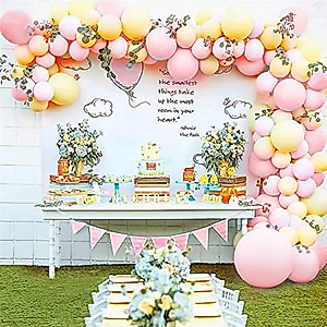 Pastel Balloon Garland Arch Kit Diy Balloon Bouquet Garland Kit Ideal for Baby Shower Wedding Birthday Party Decorations (Yellow and Pink)