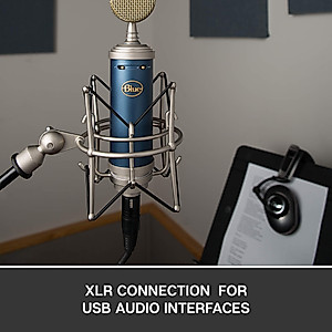 Blue Microphones Bluebird SL Large-Diaphragm Condenser Microphone (Renewed)