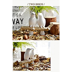 Birds Decorative Wall Hanger Clothes Hooks for Home Decor Hanging Keys Bag Hats (White,Two Birds)