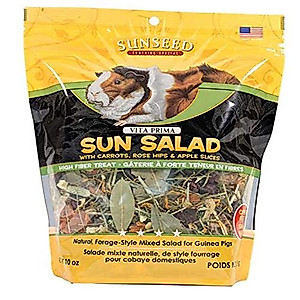 Vitakraft Vita Prima Sun Salad Treat for Guinea Pigs (10 oz)