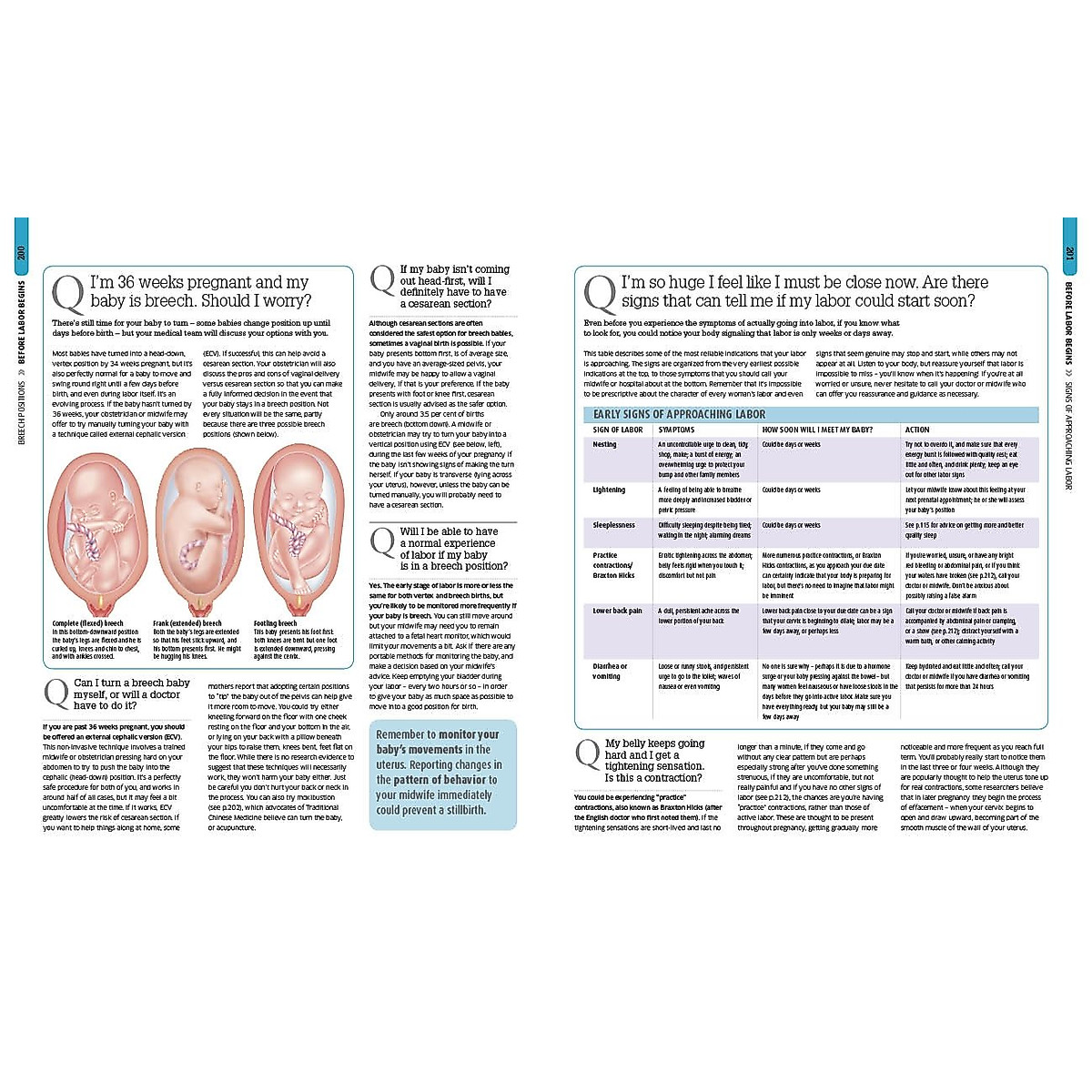 The Pregnancy Encyclopedia: All Your Questions Answered