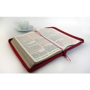 Biblia Reina Valera 1960 letra grande. Símil piel fucsia, cremallera, tamaño manual / Spanish Holy Bible RVR 1960. Handy Size, Large Print, Leathersoft, Zipp