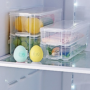 TOOYU Refrigerator Odor Deodorizer Ball,Fishy Musty Odor Moisture Remover Absorber Eliminator Neutralizer,Air Freshener Purifier,100% Natural & Chemical Free,Set of 3