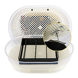 Magicfly Mini Egg Incubators for Hatching Eggs, with Automatic Egg Turning, 9-12 Eggs Hatching Incubator for Chickens, Ducks, Goose, Birds