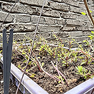 MYYZMY 80 Pcs Irrigation Drip Support Stakes 1/8-1/4" Universal Drip Lines Tubing Hose for Gardens, Flowers, Plants, Vegetable