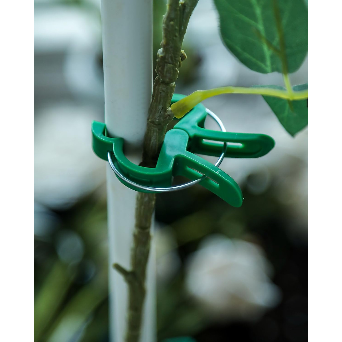 Plant Clips 80 Piece-Garden Clip Plant 2 Sizes Reusable Tomato Clip, Multipurpose Plant Vine Clips for Roses, Sturdy Cucumbers Orchid Clips Plant Support Adjustable Clips Green(30 Large + 50 Small)