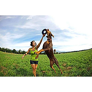 ChuckIt! Zipflight Flyer Dog Frisbee & Dog Toy that Floats; Gentle On Dog's Teeth and Gums; Medium