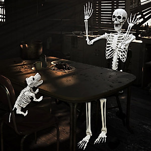 Lodou 5.4Ft Posable Life Size Human Adult Skeletons with Dog Skeleton, Plastic Human Bones with Movable Joints for Halloween Decoration