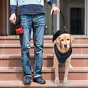 KERBIY LISPOO Dog Hip Support Brace for Hip Dysplasia,Hip Joint Pain, Hip Brace for Dogs with Low Back Pain/Weakness, Dog Hip Dysplasia Brace Warm Hip Joint to Relieves Pain, Dog Hip Brace(XXL)