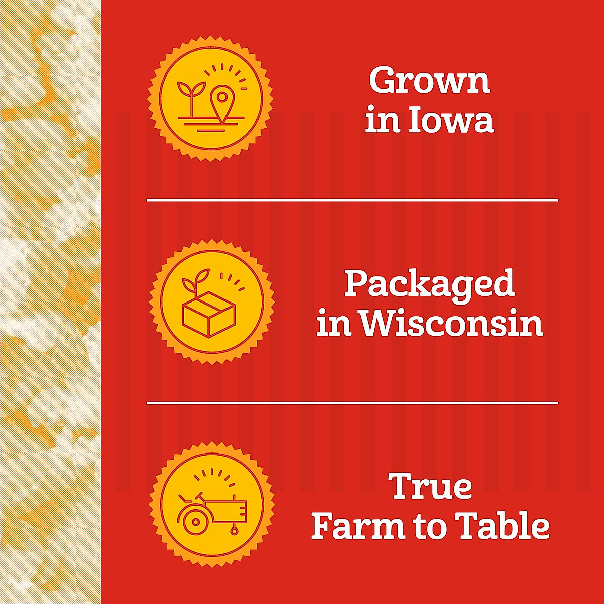 Franklin’s Gourmet Popcorn All-In-One Popcorn Packs for Popcorn Machine - 8oz Pack of 10 - Made in USA - Packs of Popcorn Bags with Buttery Salt & Oil