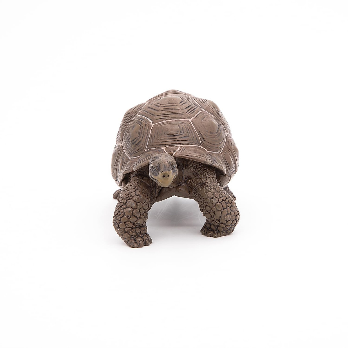 Papo Galapagos Tortoise Toy Figure
