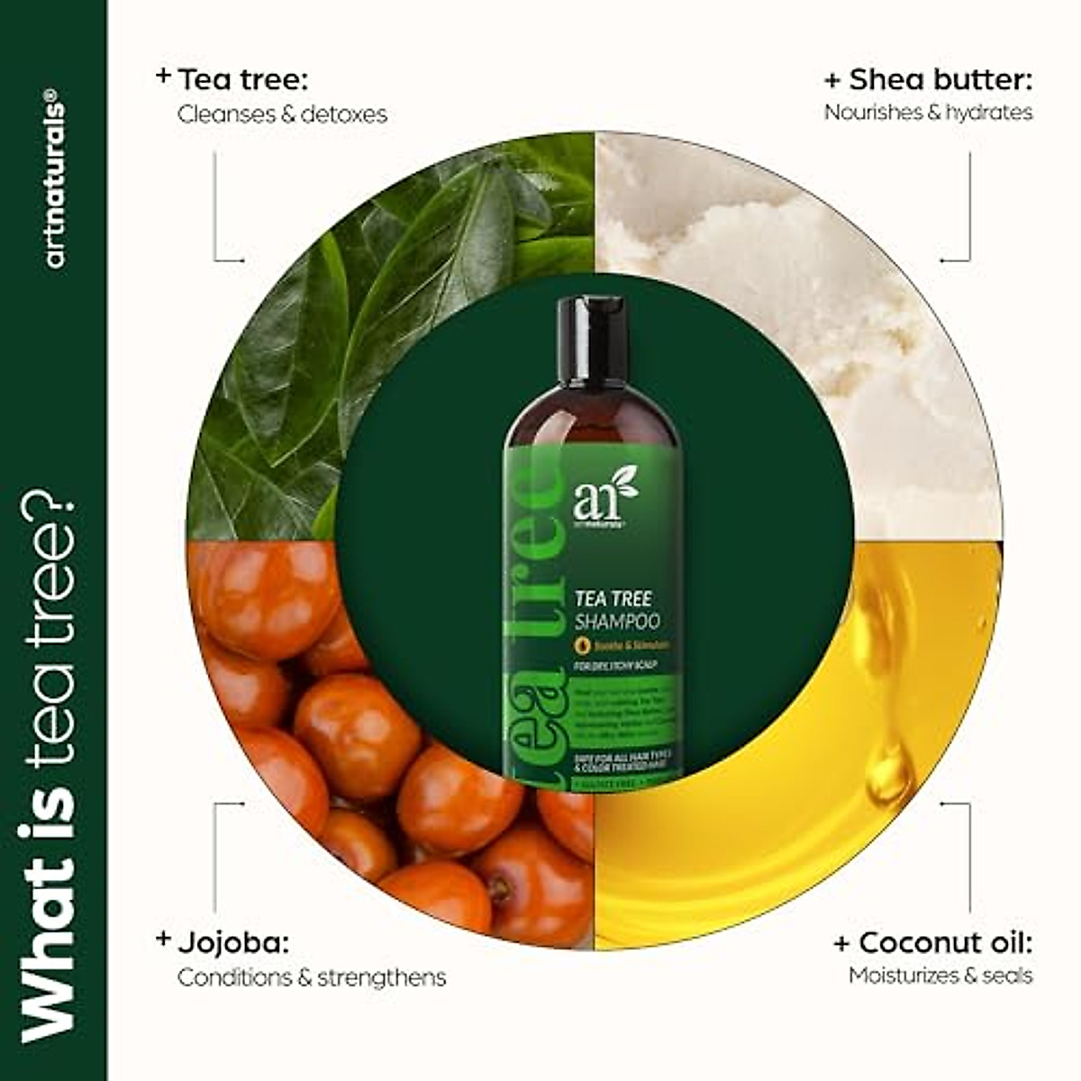 Artnaturals Tea Tree Shampoo - (16 Fl Oz / 473ml) - Sulfate Free – Made with 100% Pure Therapeutic Grade Tea Tree Essential Oil