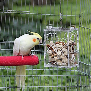 balacoo Bird Parrot Acrylic Foraging Toy Creative Hanging Parakeet Treat Feeder Toy Transparent Cockatiel Food Toys for Parakeet Cockatiel Conure