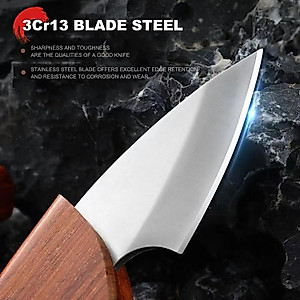 VIFUNCO Small Pocket Knife Keychain Knife for Men with Sheath, Box Cutter Knife, EDC Pocket Knives for Outdoor Camping, Gifts for Dad husband Him