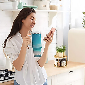 Qilmy 30 oz Beautiful Palm Tree Tumbler with Handle and Straw Lid for Water Iced Tea or Coffee, Stainless Steel Insulated Leak-proof Travel Coffee Mug Cup Gifts