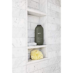 Method Men Body Wash, Cedar + Cypress, Paraben and Phthalate Free, 18 fl oz (Pack of 1)