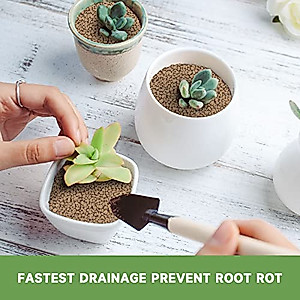 NOHOBE 2.5lb Hard Akadama Bonsai Soil 1/8-1/4 inch Small Grain for Cactus, Succulents, Bonsai Plants Soil Amendment, Prevent Over Water, Provides Optimal Water Retention, Fast Drainage