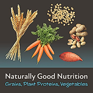 Kaytee Field+Forest Hamster or Gerbil Food 2 Pounds