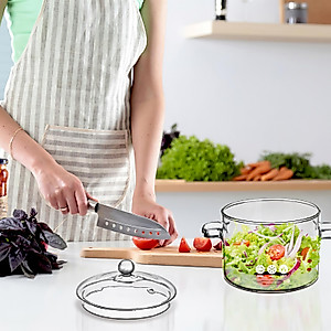 Angoily 64Oz(1.9L) Clear Glass Saucepan with Cover, Glass Cooking Pot with Lid, Simmer Pot, Simmer Pot, Glass Stovetop Pot for Soup, Pasta Noodle, Tea, Milk, Baby Food