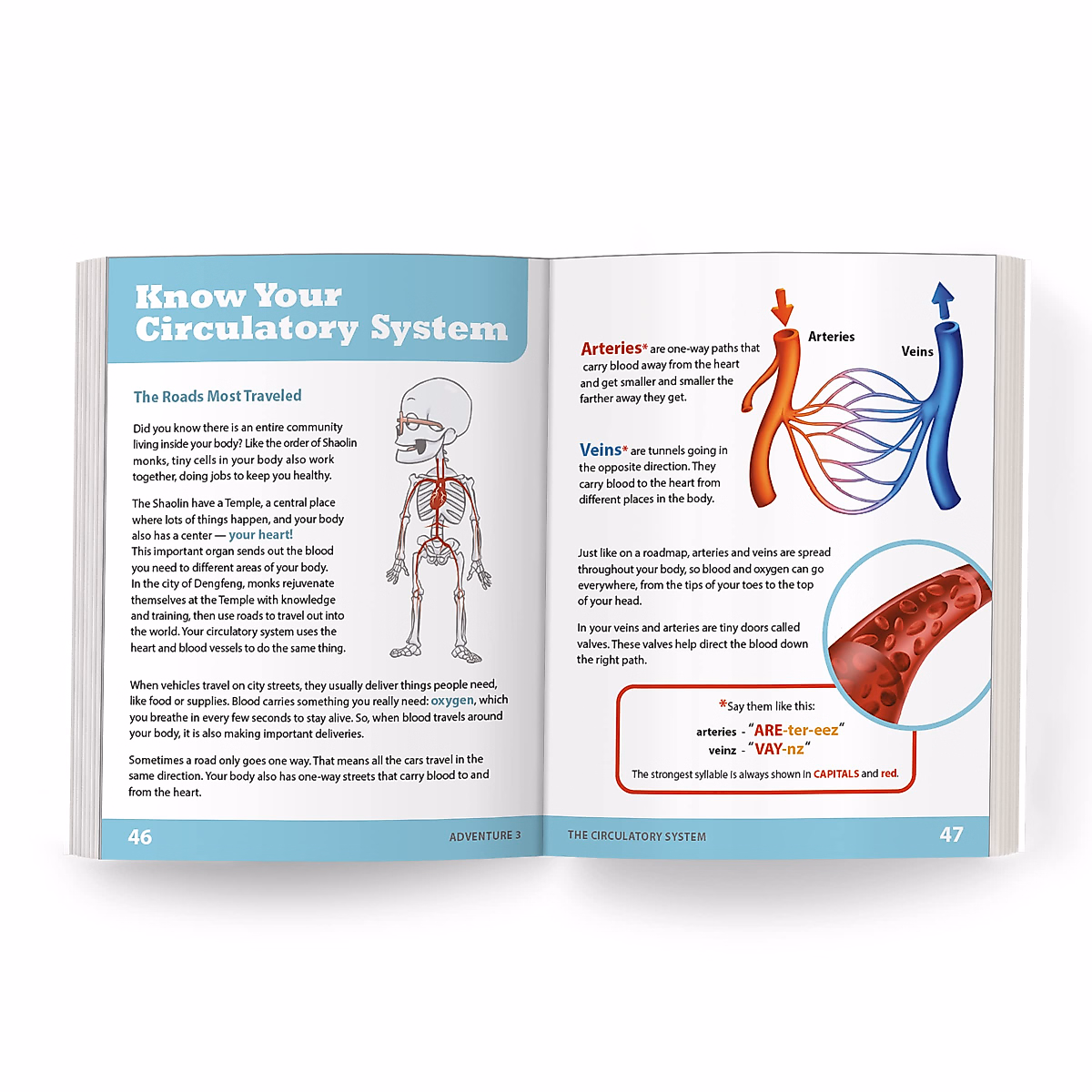 Know Yourself - The Circulatory System: Adventure 3, Human Anatomy for Kids, Best Interactive Activity Workbook to Teach How Your Body Works, STEM & STEAM, Ages 8-12 (Systems of the Body)
