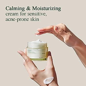 Pyunkang Yul [PKY] Calming Moisture Barrier Cream Instantly Soothes Sensitive Skin, Hyaluronic Acid & Ceramide for Hydration, Vegan, Korean Skincare (1.69 Fl. Oz, 50ml)