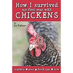 How I Survived My First Year with Chickens