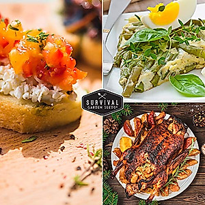 Survival Garden Seeds - Thyme Seed for Planting - Packet with Instructions to Plant and Grow Thymus Vulgaris Herb Plants in Your Home Vegetable Garden - Non-GMO Heirloom Variety