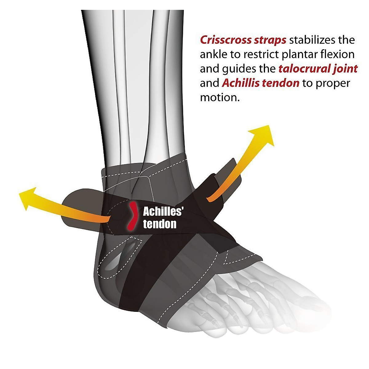 RiptGear Ankle Brace Support for Men and Women - Compression Support for Sprained Ankle - Open Heel Foot Adjustable Straps for Recovery - Achilles Tendon Support Stabilizing Bandage (Large)