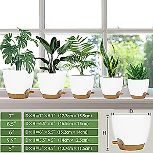Self Watering Planters with Drainage Holes Reservoir,Nursery Planting Pot for Indoor Decor Garden Plants Succulents,Snake Plant, African Violet,Plastic Flower Pots Set 7+6.5+6+5.5+5 Inch (White)