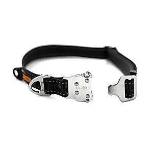 Mighty Paw Metal Buckle Dog Collar, All Metal Hardware, Lightweight Collar, Reflective Stitching, Strong, Durable (Medium, Black)