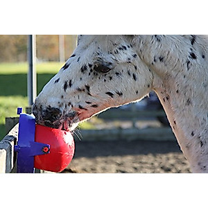 Manna Pro 1000043 081765 Likit Tongue Twister, Red, Large (Pack of 1)