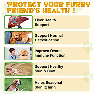 Allergy Relief Drops for Dogs, Allergy Immune Booster Treatment for Seasonal Allergies & Digestive, Healthy Immune System, Dog Supplement with Milk Thistle and Turmeric, Bacon Flavor - 60ml / 2 fl.oz