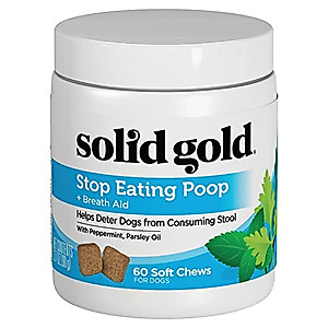 Solid Gold Stop Eating Poop Soft Chews for Dogs with Coprophagia - Natural Holistic Deterrent for Dogs Eating Poop - Grain Free Supplement Chews & Powder with Peppermint & Parsley Oil - 60 Count