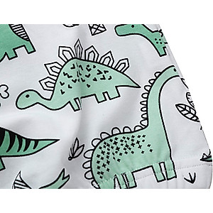 Unisex Baby Wearable Blanket with Hat Cap Cotton Sleeping Bag 2 Pcs Long Sleeve Nightgowns (Dinosaur, 0-6M)