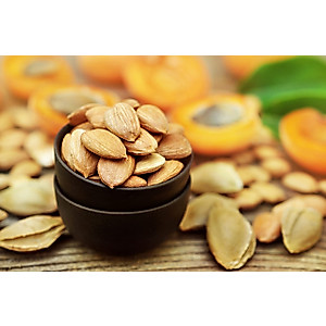 Organic Traditions Bitter Apricot Kernels (1Lb) 16oz, USDA Organic Apricot Seeds