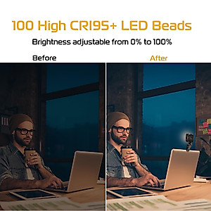 Ulanzi VL100X Selfie Light, Clip LED Light Panel for Phone/Laptop/Tablet/Computer, Bi-Color Portable Clip Camera Light with Dimmable 2500-6500K with 2000mAh Battery for Video Conference/Picture