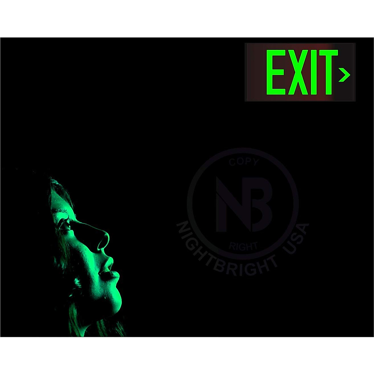 Photoluminescent Exit Sign Red - Aluminum - UL 924 Code Approved/IBC/NFPA 101 | NightBright USA Part Number ULR-050