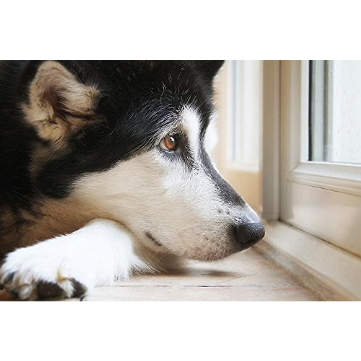 Dog Calming Solution - Premium Relaxant for Dogs - Amazing Calming AID - Natural Formula - Treat - Chamomile Dog Treats - 270 Treats (3 Bottle)