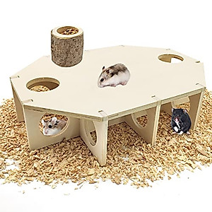BNOSDM Multi-Chamber Hamster Hideout Maze Wood Multi-Room Hide Hut with Cover Mice Secret Peep Shed Wooden Dwarf Hamsters House Tunnel Exploring Toys Habitat Décor for Gerbils