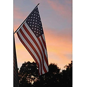 Linyup American Flag, American Flags for Outside, 210D Oxford Nylon, American Flags for Outside 3x5,Brass Grommet for Easy Display,Embroidered Stars,The Strongest, Longest Lasting.