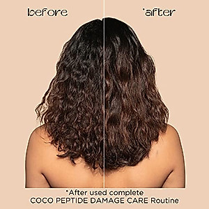 Pacifica Coco Peptide Damage Care Shampoo & Conditioner Set – Repairing Hair Care for Dry Damaged Hair Vegan Collagen & Peptides for Split Ends & Breakage Sulfate Free Clean Vegan Dermatologist Tested