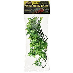 Zoo Med Laboratories SZMBU20 Natural Bushy Mexican Phyllo, Medium