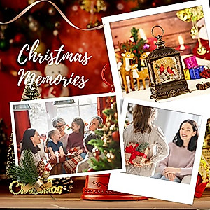 Cardinal Christmas Decorations Musical Snow Globe Lantern, Lighted Snow Globe with Swirling Glitter, 3 AA Battery Operated & USB Powered, Cardinal