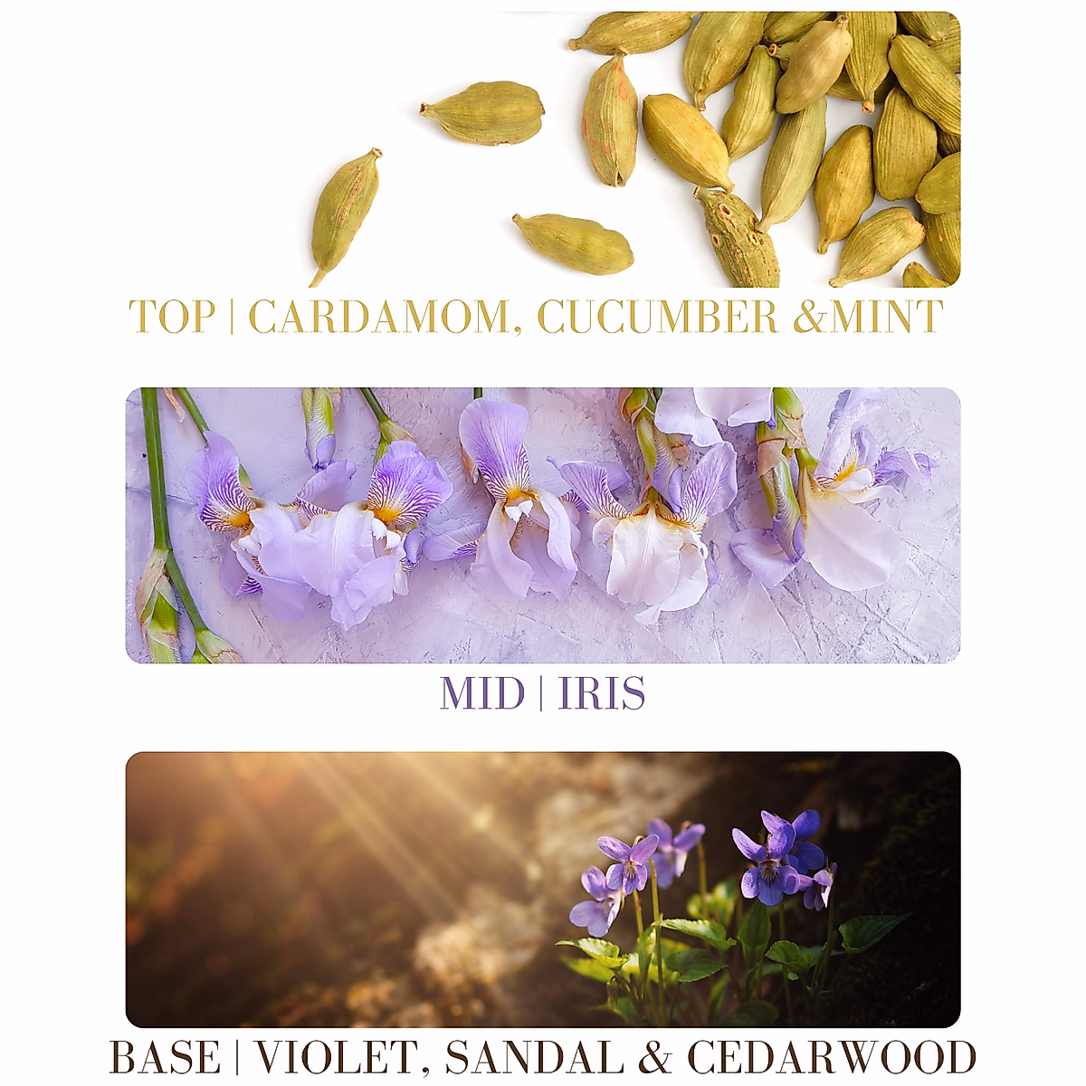 Santal Perfume Roll On with Pure Organic Jojoba Oil, Alcohol Free, Eau de Toilette, Made in California 33