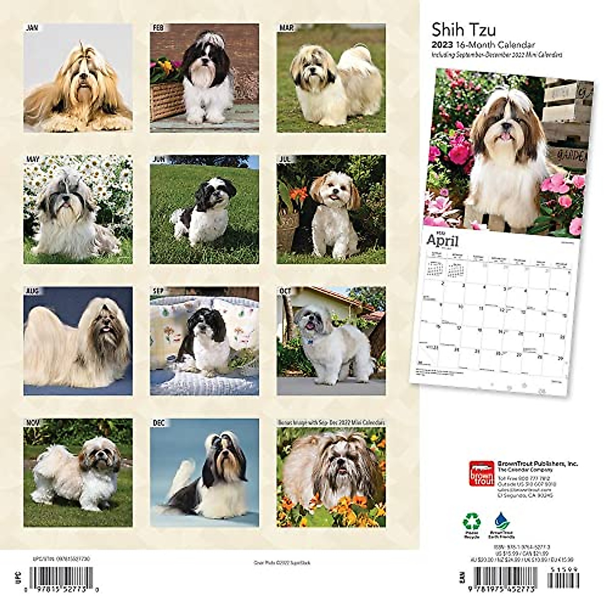 Shih Tzu | 2023 12 x 24 Inch Monthly Square Wall Calendar | Foil Stamped Cover | BrownTrout | Animals Small Dog Breeds DogDays