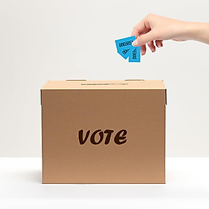 200 Pieces Basket Tickets Auction Chinese Ticket Raffle Tickets Sheets Blue 4"×9" 200 Numbers for Drink Door Prize Fundraiser Silent Carnival Penny Auction Events (200)