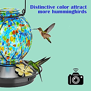 Hummingbird Feeder, Glass Hummingbird Feeder for Outdoors, Vibrant Colors Attract Hummingbirds, 18 Ounces, Netted Texture Ball Shape Bottle
